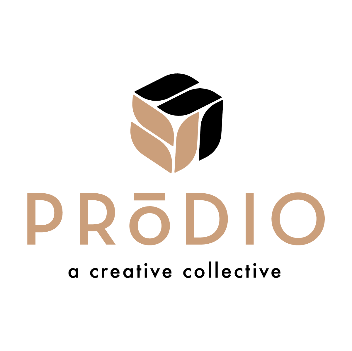 Prodio: A Creative Collective. Together We Grow.